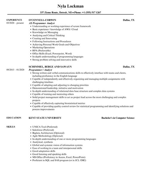 Programmer Analyst Resume Samples Velvet Jobs