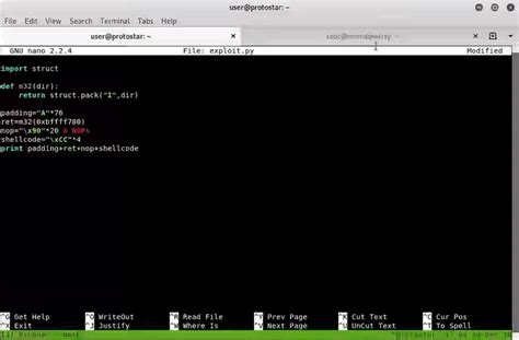 Introduction To Exploiting Part 3 My First Buffer Overflow Stack 5