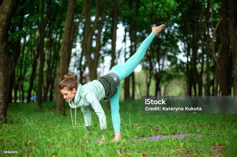 젊은 스포츠 소녀는 녹색 여름 숲 요가 아산 자세에서 요가를 연습합니다 자연과의 명상과 단합 가냘픈에 대한 스톡 사진 및 기타 이미지 Istock