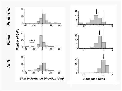 Ppt Adaptation Properties Of Macaque Mt Neurons Powerpoint Presentation Id 6776540