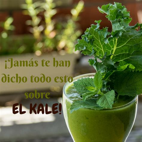 ¿conoces Los Beneficios Del Kale By Alasature Healthy Lifestyles