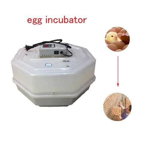 60 Ovos Incubadora Autom Tica Ovo Cracking Temperatura Constante