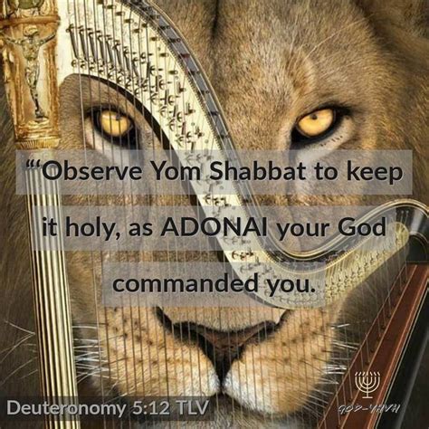 Pin By Joanne Reynolds On Happy Sabbath Shabbat Shalom Shabbat