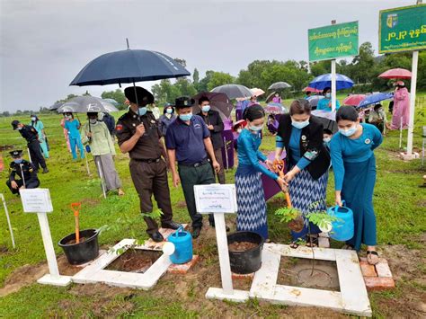 သရက်ချောင်းမြို့နယ်၌ မိုးရာသီ စုပေါင်းသစ်ပင်စိုက်ပွဲ ကျင်းပ