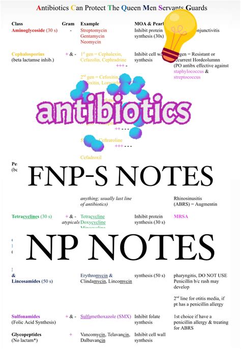 Np Student Antibiotic Visual Guide Chart Etsy