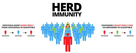 Achieving Herd Immunity In The Ongoing Pandemic Molecularcloud