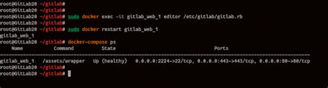Cómo Instalar Gitlab Con Docker En Ubuntu 2004 Lts Howtoforge