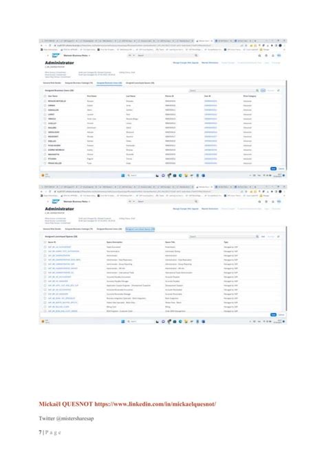 Gusap S4 Hana Cloudmaintain Business Rolesdocx