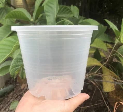 กระถางต้นไม้พลาสติก สีใส Ennxo