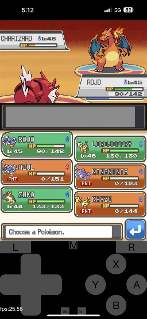 My Final Team For Hgss Nuzlocke R Nuzlocke
