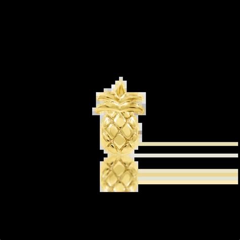 Mini Pineapple Mysite