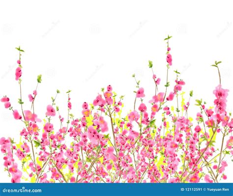 Fundo Da Flor Do Pêssego Ou De Cereja No Tempo De Mola Ilustração Stock