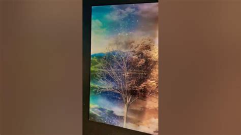 The Tree Of The Seasons Дървото на сезоните 季节之树 Youtube