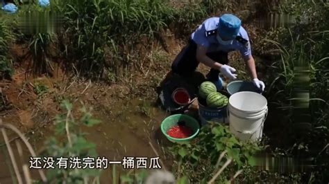 迷失三岔路口（命案） Sincel Sincel 哔哩哔哩视频