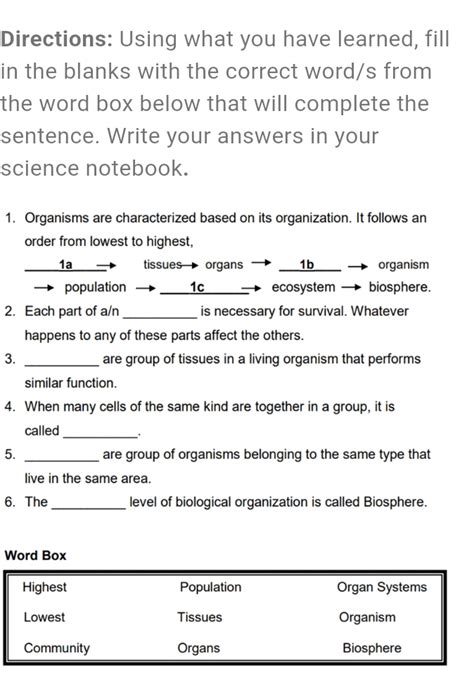 Directions Using What You Have Learned Fill Studyx