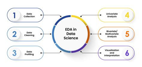 What Is Eda In Data Science A Complete Guide 2025