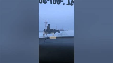 მხედარი 2 ჯერ სად ვართ 🙃 Youtube