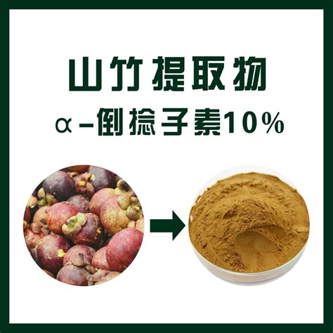 山竹的英文山竹果树 随意云