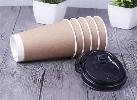 Styrofoam Double Cups