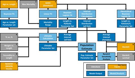 An Integrated Population Model And Sensitivity Assessment For A Data Poor Population Of Green