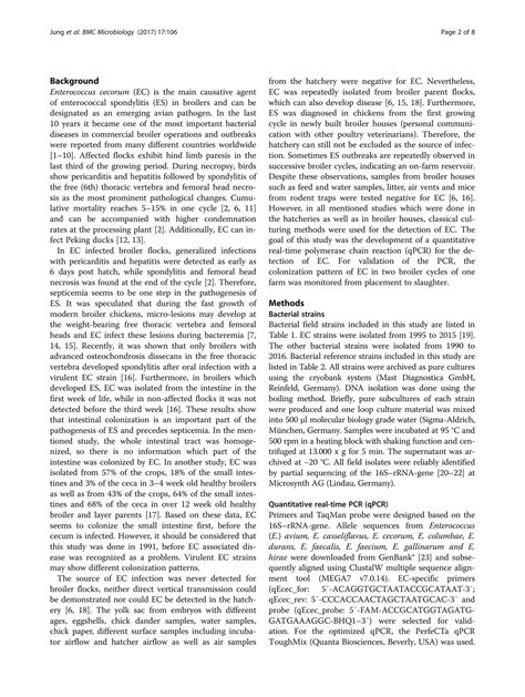 Solution Colonization Patterns Of Enterococcus Cecorum In Two Different Broiler Production