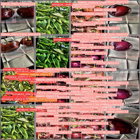 Research On Cherry Maturity Detection Based On Improved Ds Yolov8 Research Square