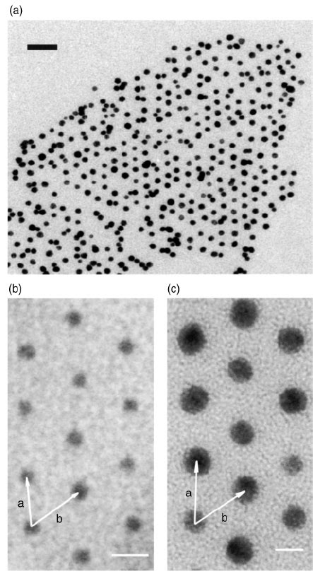 Tem Micrographs Of S Layer Templated Gold Nanoparticle Superlattices