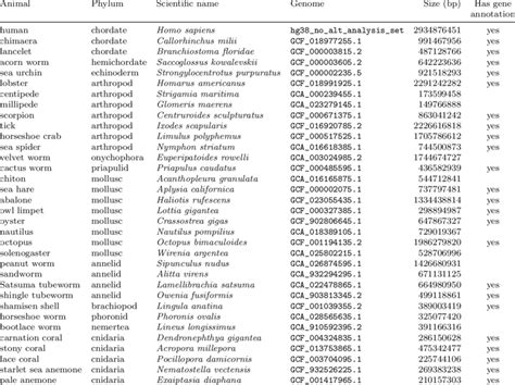 Genomes With Detected Regulatory Elements Size Means Number Of Acgt