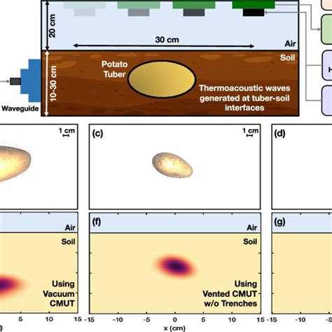 A Experimental Setup For Non Contact Thermoacoustic Imaging Of Potato