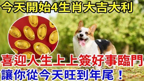 黴運盡散今天開始大吉大利的4個生肖喜迎人生上上簽好事臨門財運旺讓你旺到年尾 YouTube