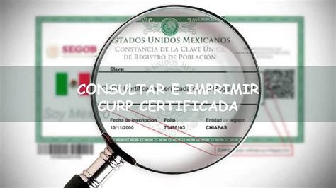CURP Actualizado 2024 Consulta e Imprime tu Documento En Línea Gratis
