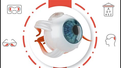 Neuro Ophthalmology Part 1 By Asm Minds Team Youtube