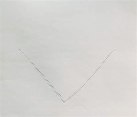 How To Draw A Seashell With Color Basicdraw Com