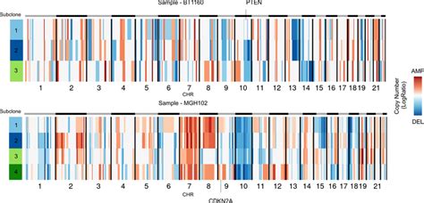 tumor suppressor genes in the clonal substructure compact download
