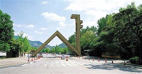 Sky 정시 붙고도 안 가요 5년 새 최고치 이유가