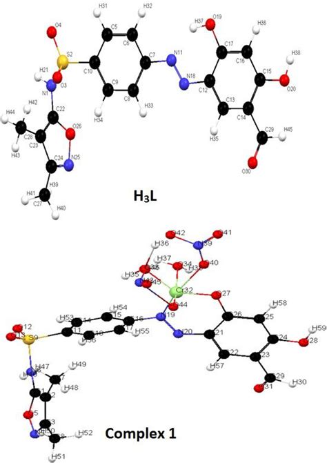 Optimized molecular structure of the ligand (H3L) and complex 1 ...