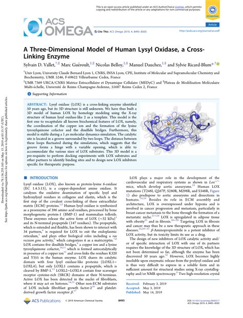 Pdf A Three Dimensional Model Of Human Lysyl Oxidase A Cross Linking