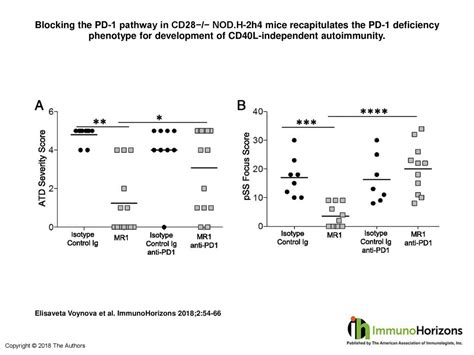 Blocking The Pd 1 Pathway In Cd28−− Nod Ppt Download