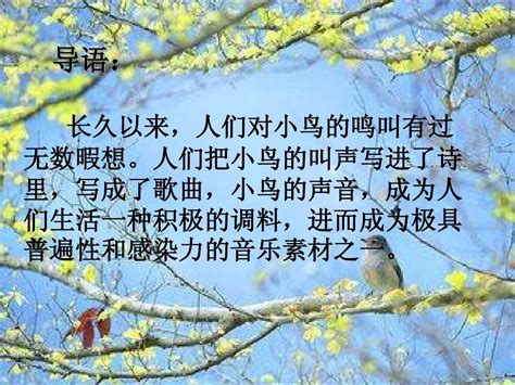 七年级下册音乐课件《小鸟小鸟》文档之家