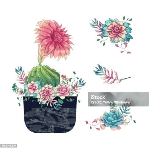 Succulents 선인장 손흰색 배경에 그려진 사막의 꽃 벡터 드로잉 다육식물 귀여운에 대한 스톡 벡터 아트 및 기타 이미지
