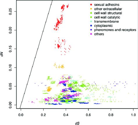 The Between Species DN And DS For Genes In Different Groups All The 73 Download Scientific