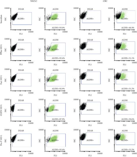 Nsclc And Crc Cell Culture In Four Different Microcarriers Pplus