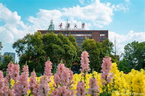 视觉虎溪 重庆大学科学城校区