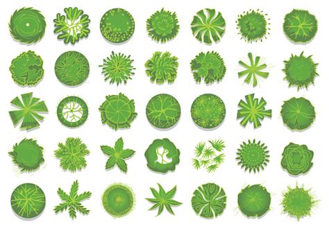 様々 な緑の木薮および低木景観デザイン計画の平面図ですベクトル イラスト白い背景で隔離のセットです アメリカ合衆国のベクターアート素材や
