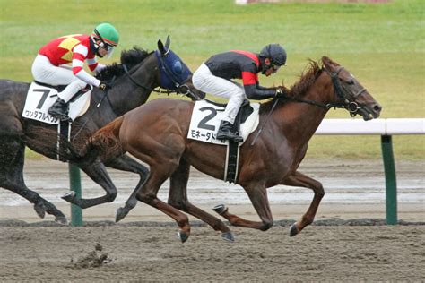 【新潟7r】モネータドーロが人気に応える 競馬ニュースなら競馬のおはなし