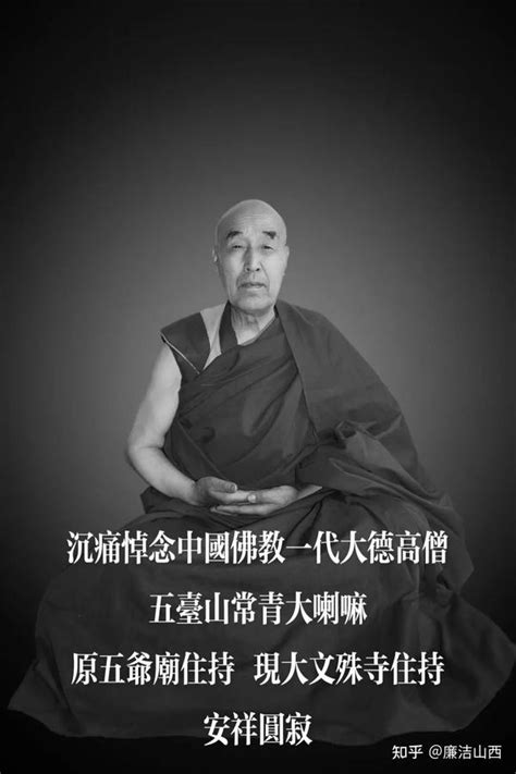 沉痛悼念中国佛教一代大德高僧，五台山常青大喇嘛 知乎