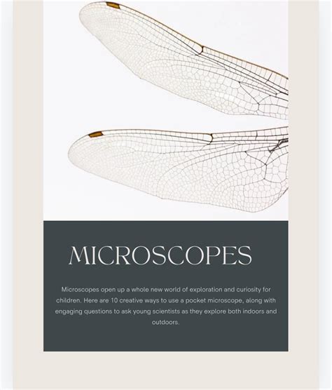 Microscope Guide Printable Science Learning Material Etsy