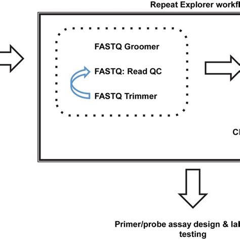 Workflow For Repeat Analysis Output Data From A Next Generation Download Scientific Diagram