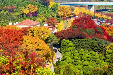 베어트리파크 단풍축제 최신 축제 공연 행사 정보와 주변 관광 명소 및 근처 맛집 여행 정보