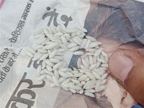 Karnal Fortified Rice Pendency Update Dfsc Anil Kumar Rice Miller